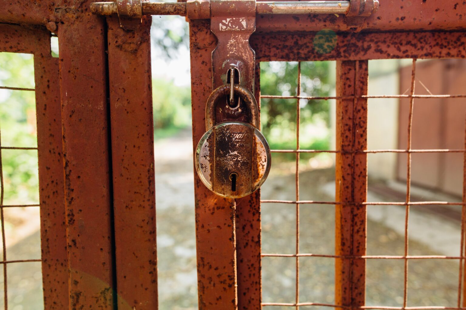 Securing Your Legacy: Realistic Tips for Digital Preservation and ...